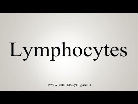 How To Say Lymphocytes