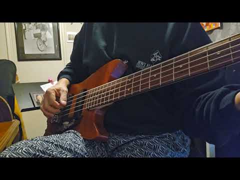 Biondo Lady Bo Caddy 5 String Bass Guitar 2023 - Red Wine. | Reverb