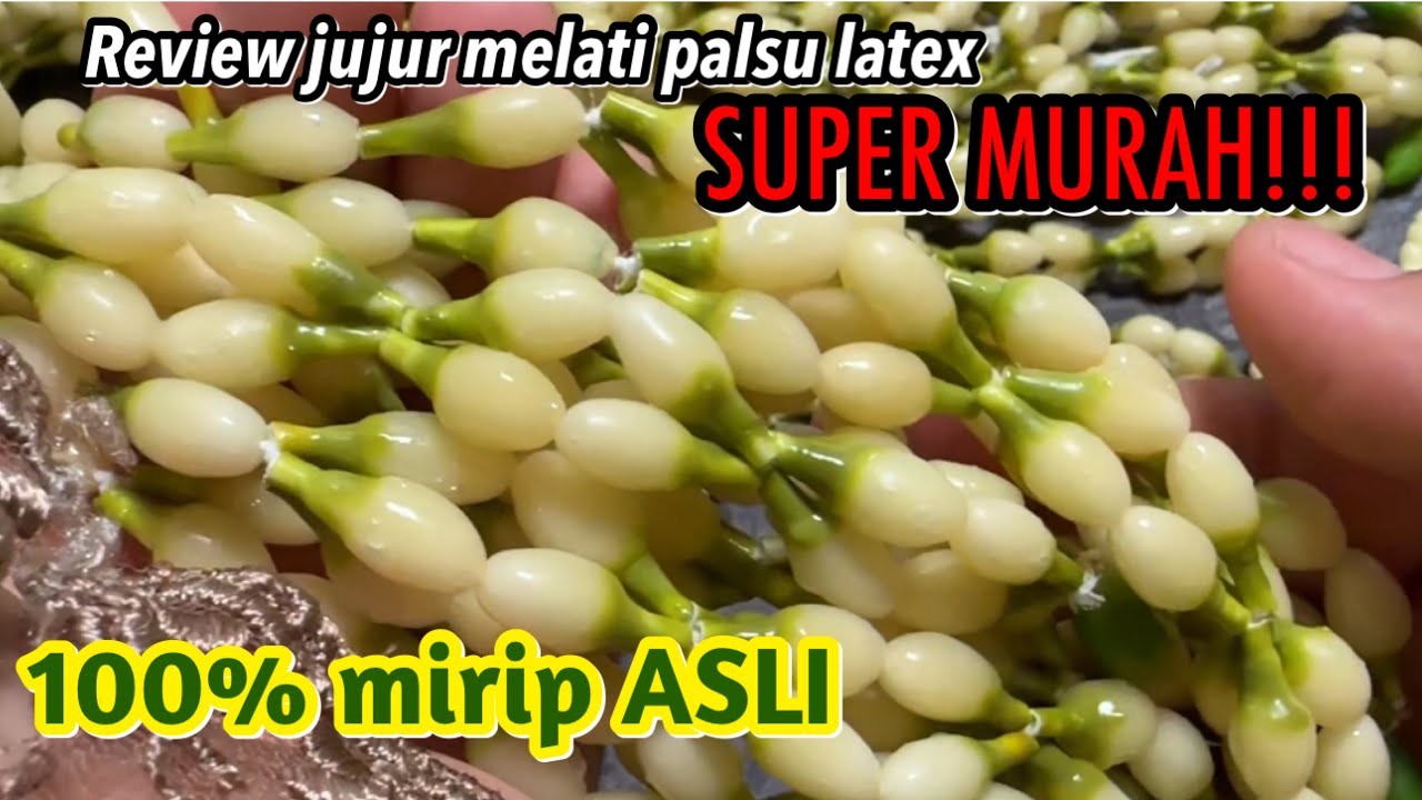 #MELATISRIKANDI FAKE MELATI MADE FROM LATEX, SUPER CHEAP, 100% LIKE THE ORIGINAL