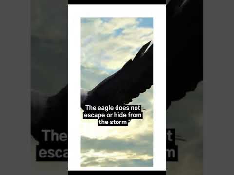 Soar Like an Eagle 🦅- Short Motivational Story In 1 Minute #shorts