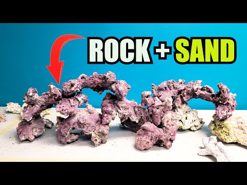 Choosing the Best Live Rock and Sand for Your Reef Tank