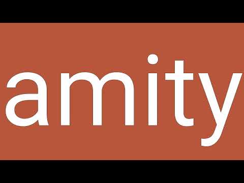 Amity Definition & Meaning