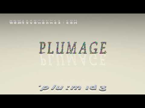 plumage - pronunciation + Examples in sentences and phrases