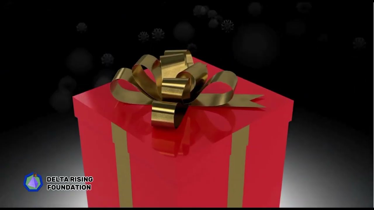 BEE COOL *GRAND REVEAL*