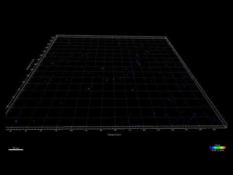 sEV in GelMA for therapeutic applications - Supplementary video 2 [ID 334194]