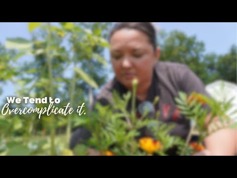 Grow Your Own Organic Produce on a Small Homestead #30in30