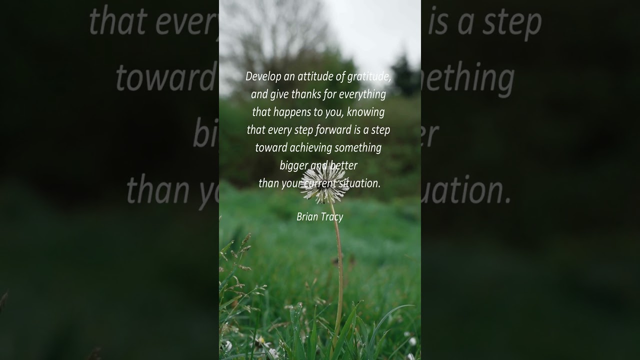 The Daily Quote: A Simple Reminder to Stay Positive! #shorts #inspiration #motivation #briantracy