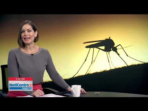 Entrevista a Julieanne Miranda | Noticentro al Amanecer | 20 de abril de 2020