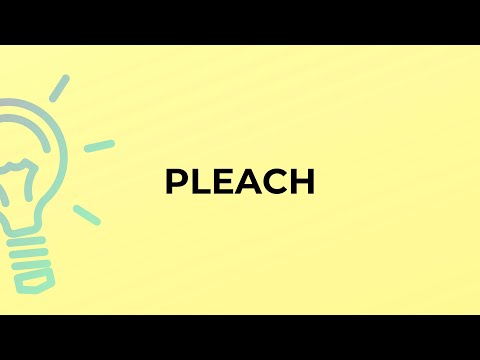 What is the meaning of the word PLEACH?