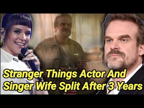 David Harbour and Lily Allen Separate After 3 Year Marriage: What Went Wrong? | Stranger Things