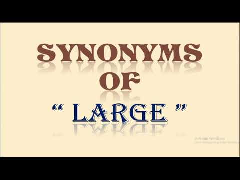 Synonyms of Large
