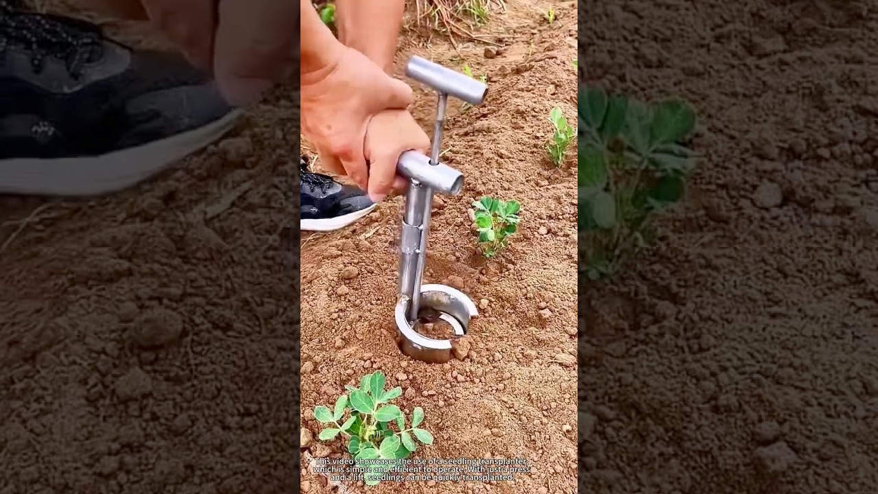 Excellent seedling transplanting tool. #tools #work #farming #agriculture