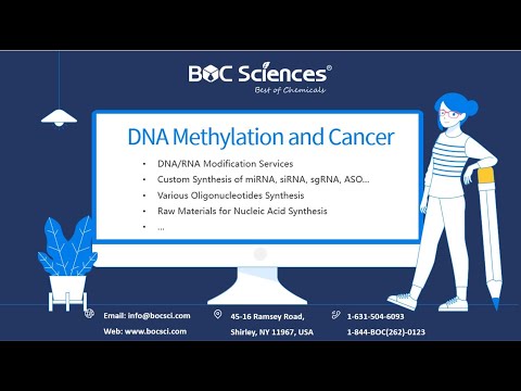 DNA Methylation and Cancer - DNA Methylation in Cancer Cells - DNA Methylation - DNA Modification