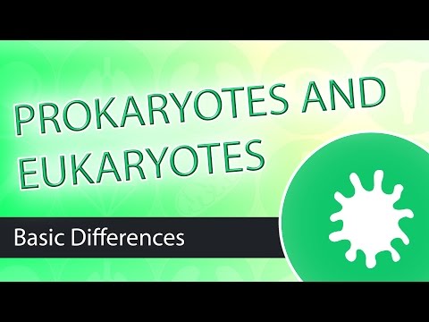 Prokaryotic and Eukaryotic Cell Differences