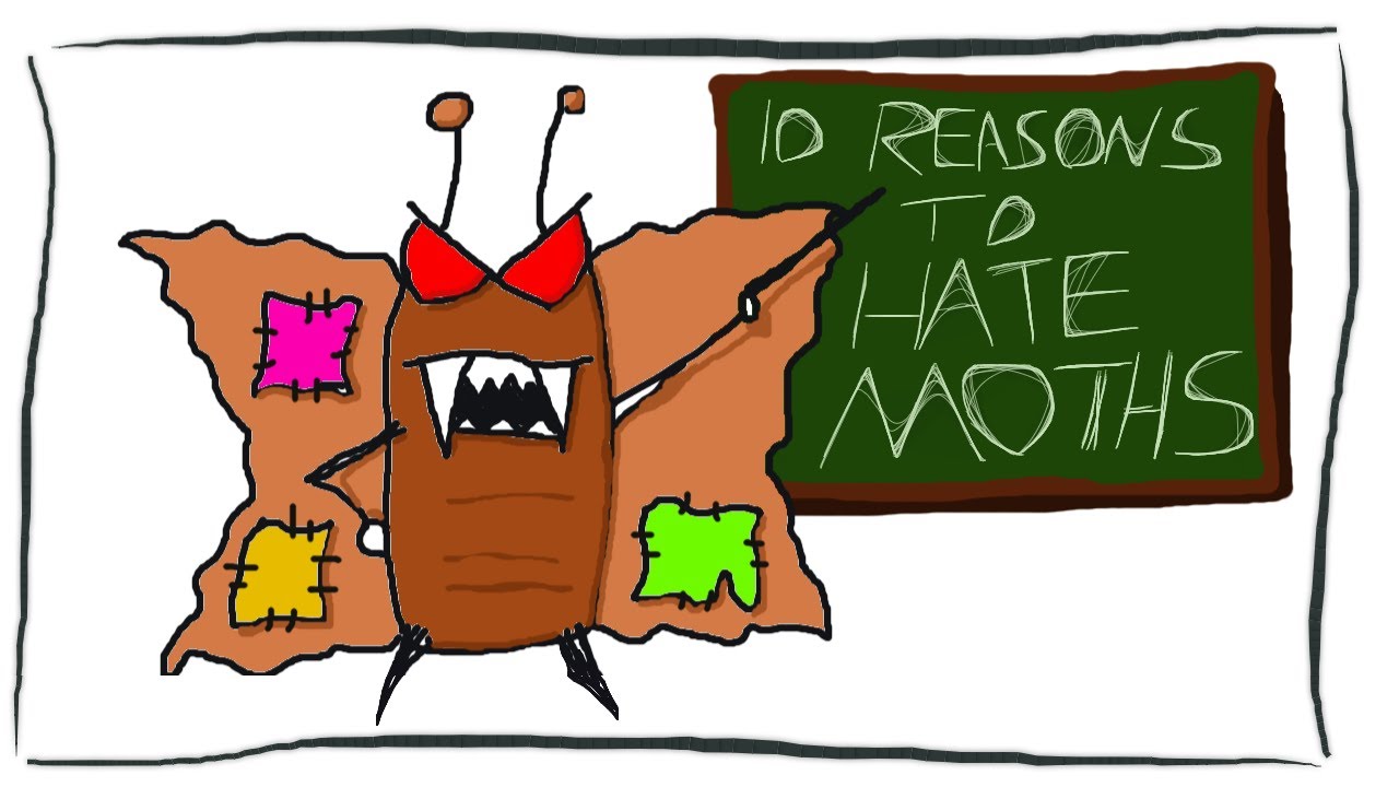 10 Reasons to Hate Moths