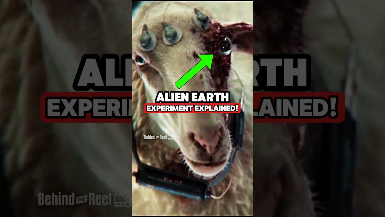 Alien Earth Sheep Experiment EXPLAINED‼️