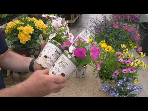 Pat Sullivan shares advice for annual plants and flowers