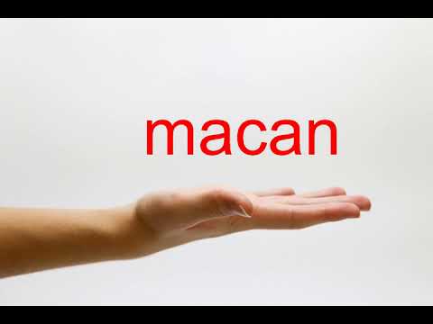 How to Pronounce macan - American English