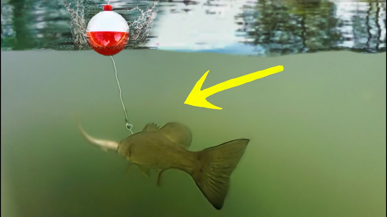 Pressured Fish Won't Bite? Try THIS Instead