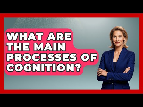 What Are the Main Processes of Cognition? - Psychological Clarity