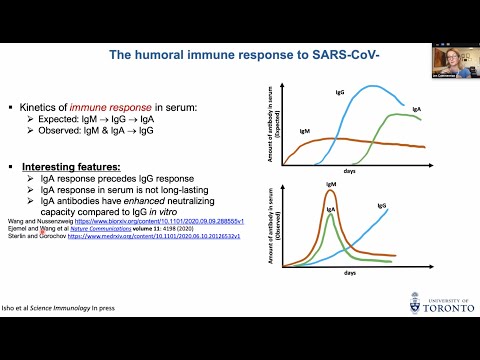 IgA producing cells in health and disease by Dr. Jen Gommerman