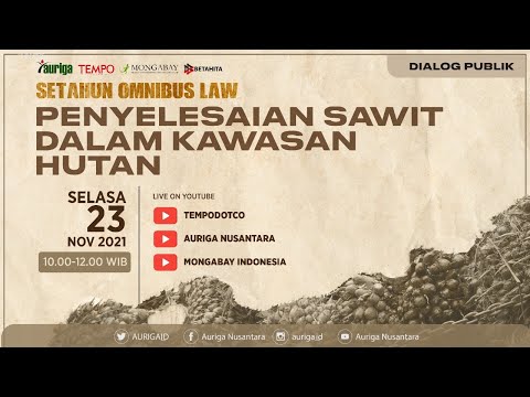 Setahun Omnibus Law: Penyelesaian Sawit dalam Kawasan Hutan
