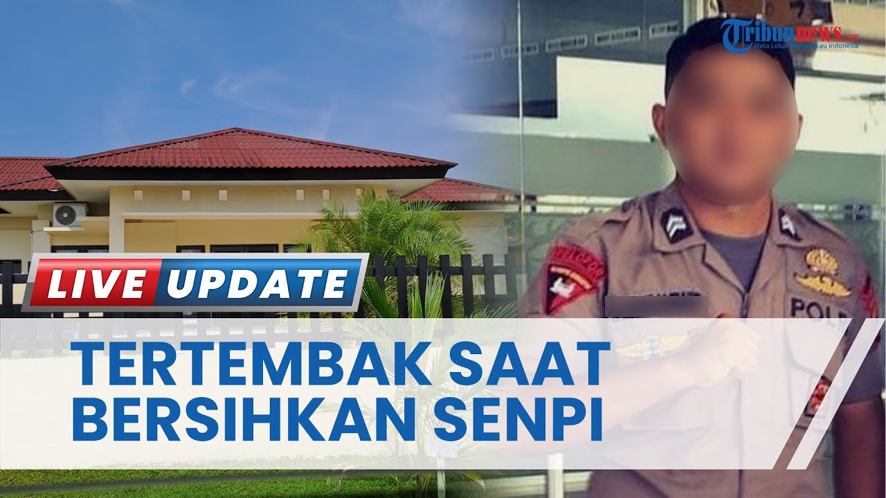 Kronologi Ajudan Kapolda Kaltara Tewas di Kamar, Diduga Tertembak Senpi Sendiri saat Dibersihkan ...