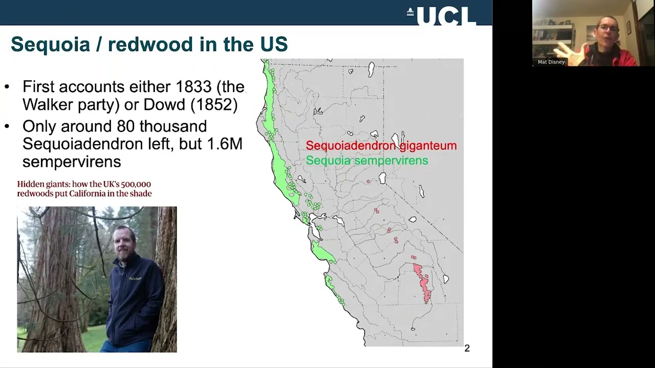 Carbon Capture at Wakehurst & A New Look at the Giant Sequoia in the UK