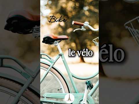 Bike 🚲- En/Fr Visual Dictionary