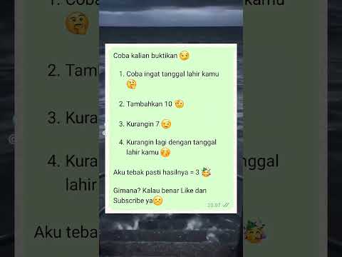 11 November 2025