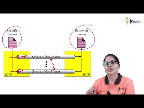 SCTP Protocol and Its Service - Transport Layer - Internet Communication Engineering