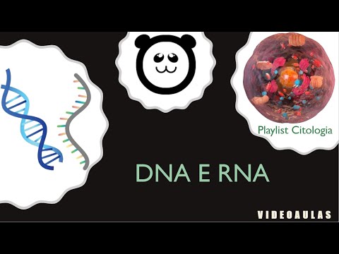 DNA e RNA - Diferenças