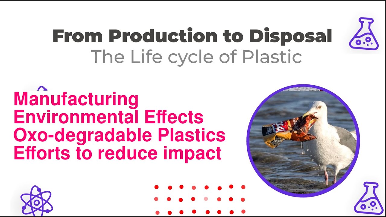 Understanding the Environmental Effects of Plastics: Hazards and ...