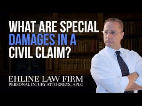 What are 'special damages' in a civil claim?