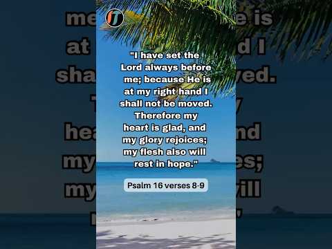 God Is My Refuge | Bible Verse | Psalm 16:8-9 #bibleverseoftheday #godsword
