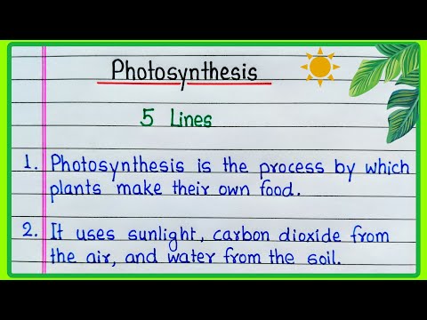 What is Photosynthesis | About Photosynthesis Process 5 lines | Photosynthesis