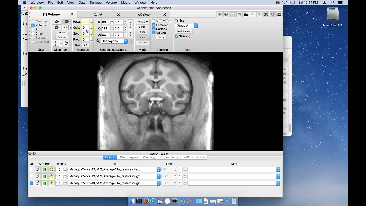 1. wb_view Volume View Basics