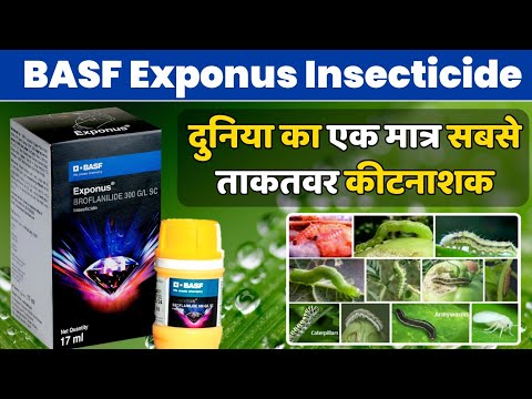BASF Insecticides - Latest Price, Dealers & Retailers in India