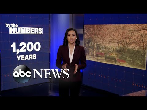 By the Numbers: Japan’s cherry blossoms hit earliest peak in 1,200