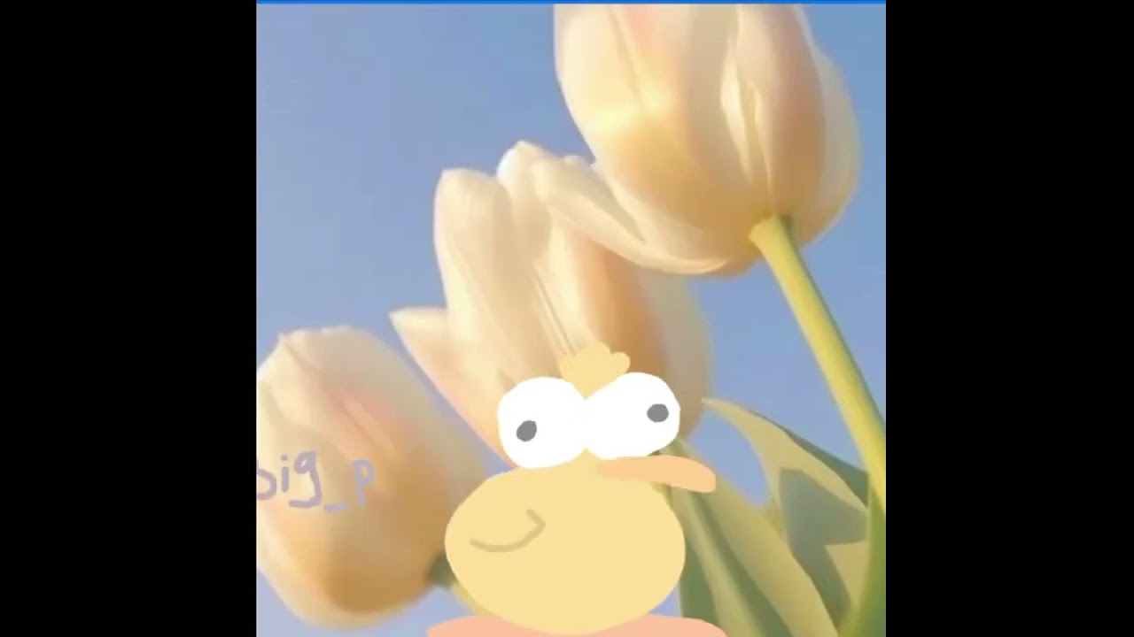 New duckie pfp #pfp #duck #flower #new #fypシ゚ #viralvideo