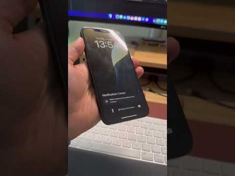 iPhone 12 Pro Max has Apple Intelligence?
