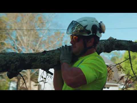 Kevin's Tree Service - Tree Service in Gadsden AL