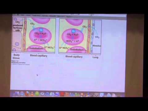 Enzymes I