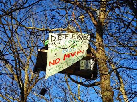 Tree-Sitting to Stop the Mountain Valley Pipeline + words on Ruchell Cinque Magee