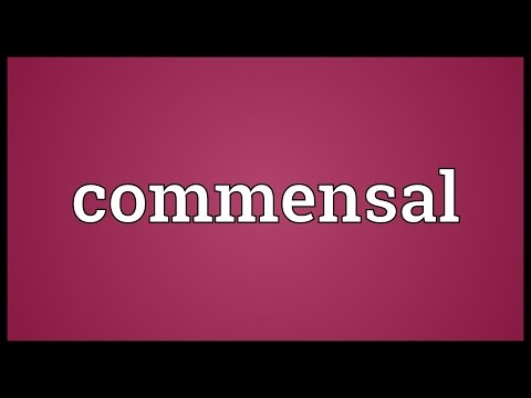 Commensal Meaning