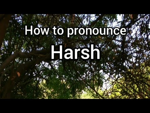 How to Pronounce Harsh