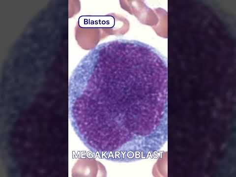 Root Word Of The Day | BLASTOS