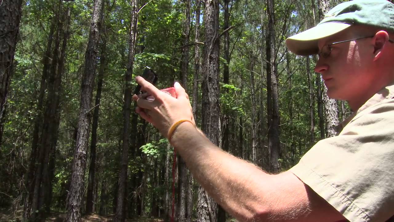 ForestryWorks Forest Technician - Conrad