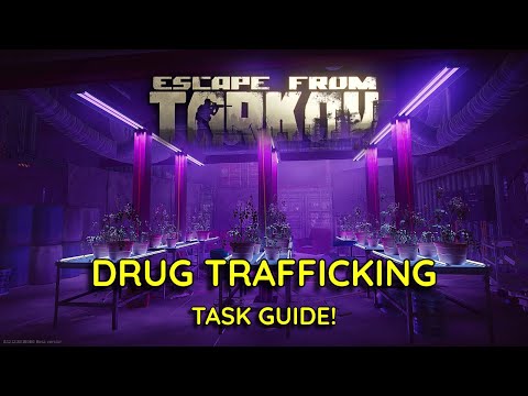 Drug Trafficking Task Guide! Escape From Tarkov