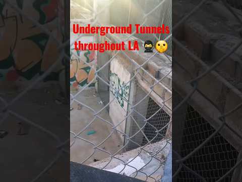 Underground Tunnels in Los Angeles🤫🥷🏽 #short #shorts #conspiracy #missing